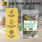 Herb To Body soursop tea infusion