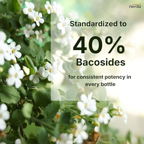 Herba Brain for daily cognitive support
