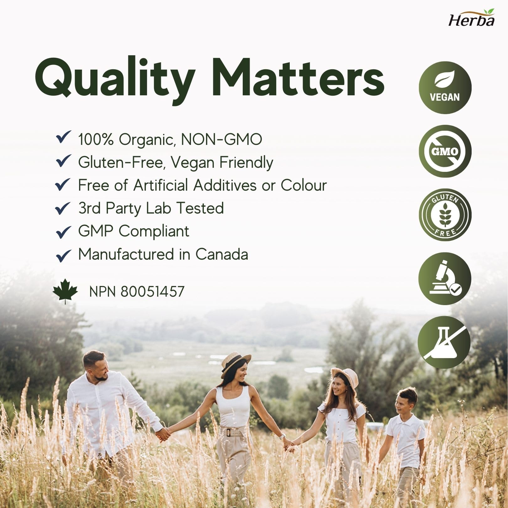 Herba moringa for enhanced well-being