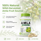 Herbal Amla for skin vitality