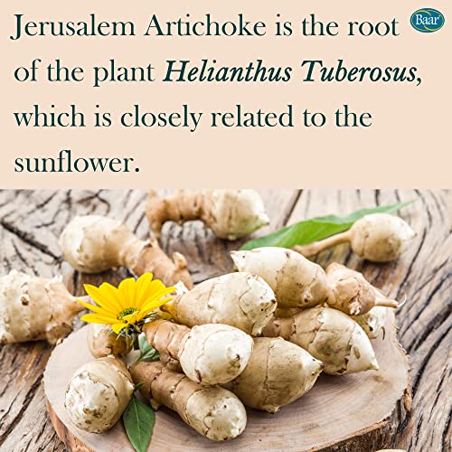 herbal artichoke supplement for vitality