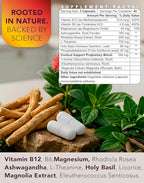 Herbal ashwagandha capsules for daily wellness