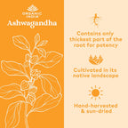 herbal ashwagandha capsules for energy boost