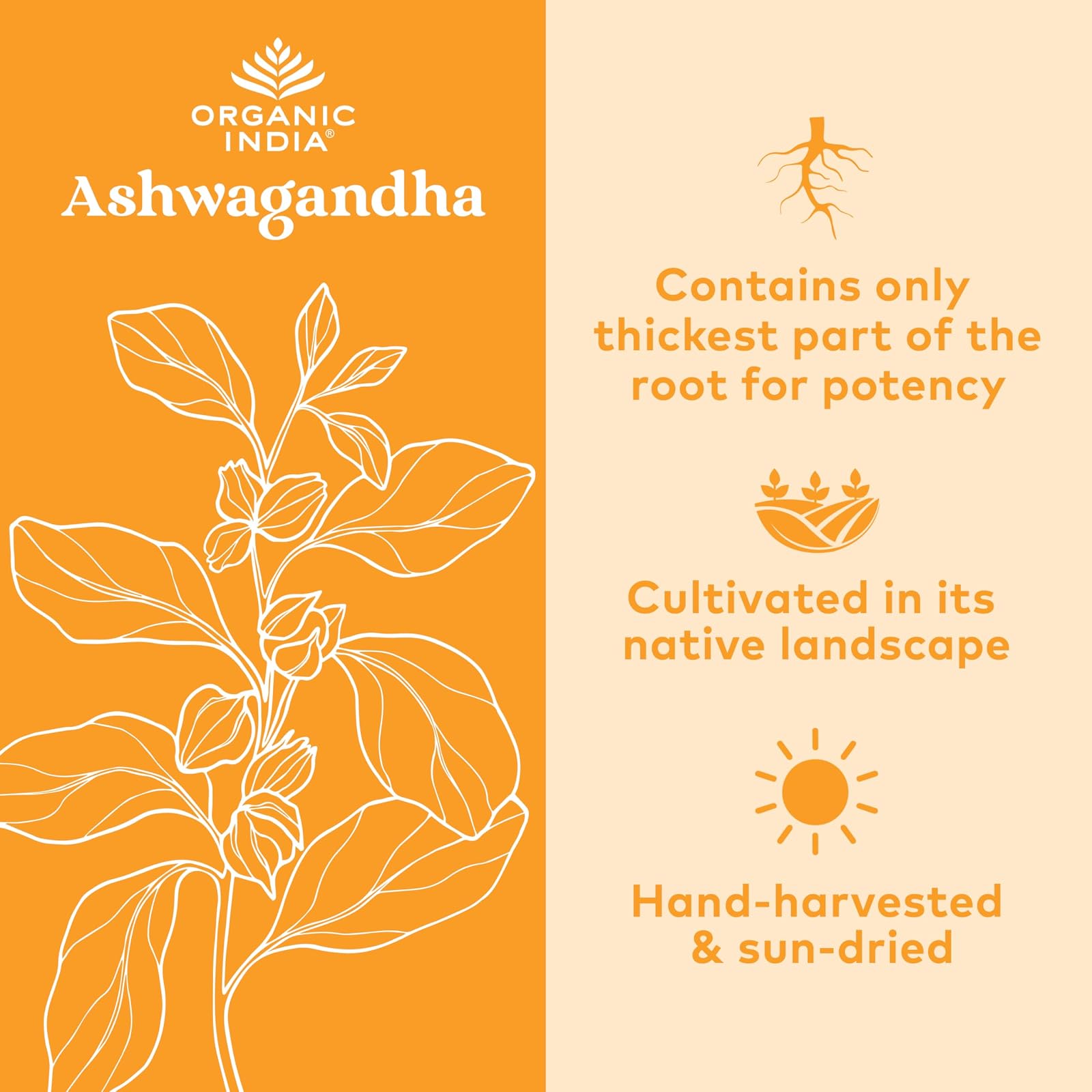 herbal ashwagandha capsules for energy boost