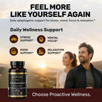 Herbal Ashwagandha for better sleep quality