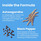 Herbal ashwagandha for enhanced focus