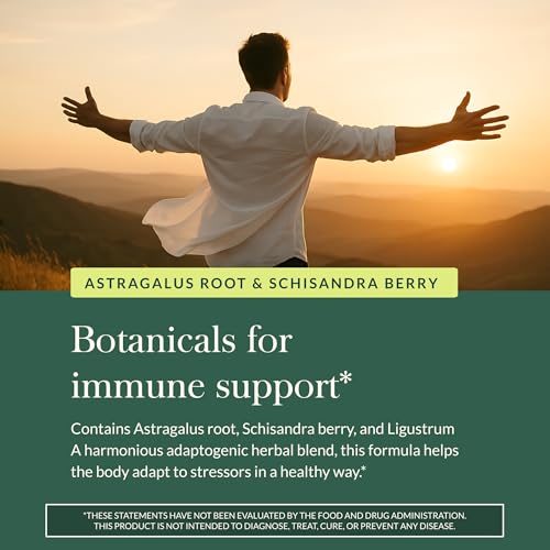 herbal astragalus capsules for energy
