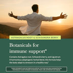 herbal astragalus capsules for energy