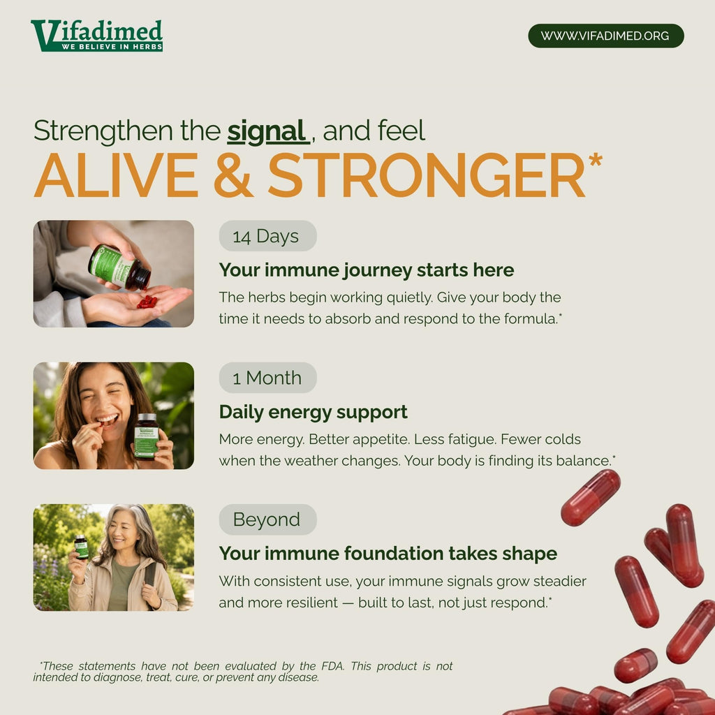 herbal astragalus supplement benefits