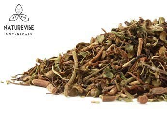 herbal bacopa monnieri for mental clarity