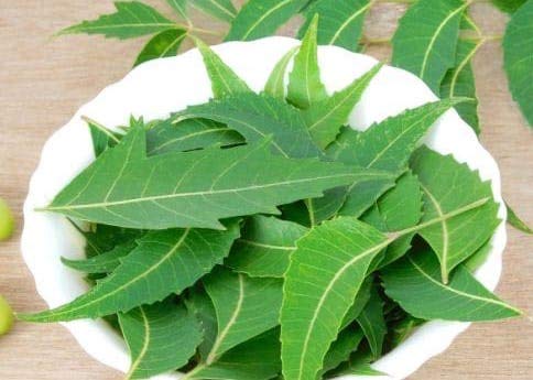 herbal benefits of neem leaves