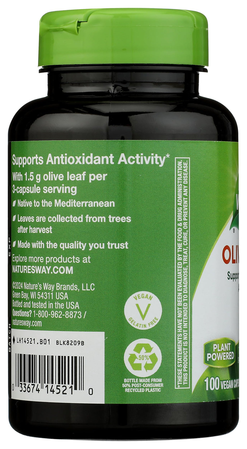herbal benefits of olive leaf