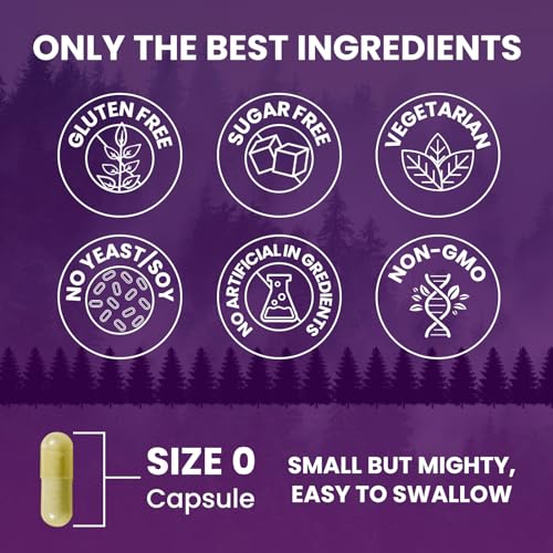 Herbal berberine capsules for holistic health