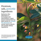 herbal berberine for digestive aid
