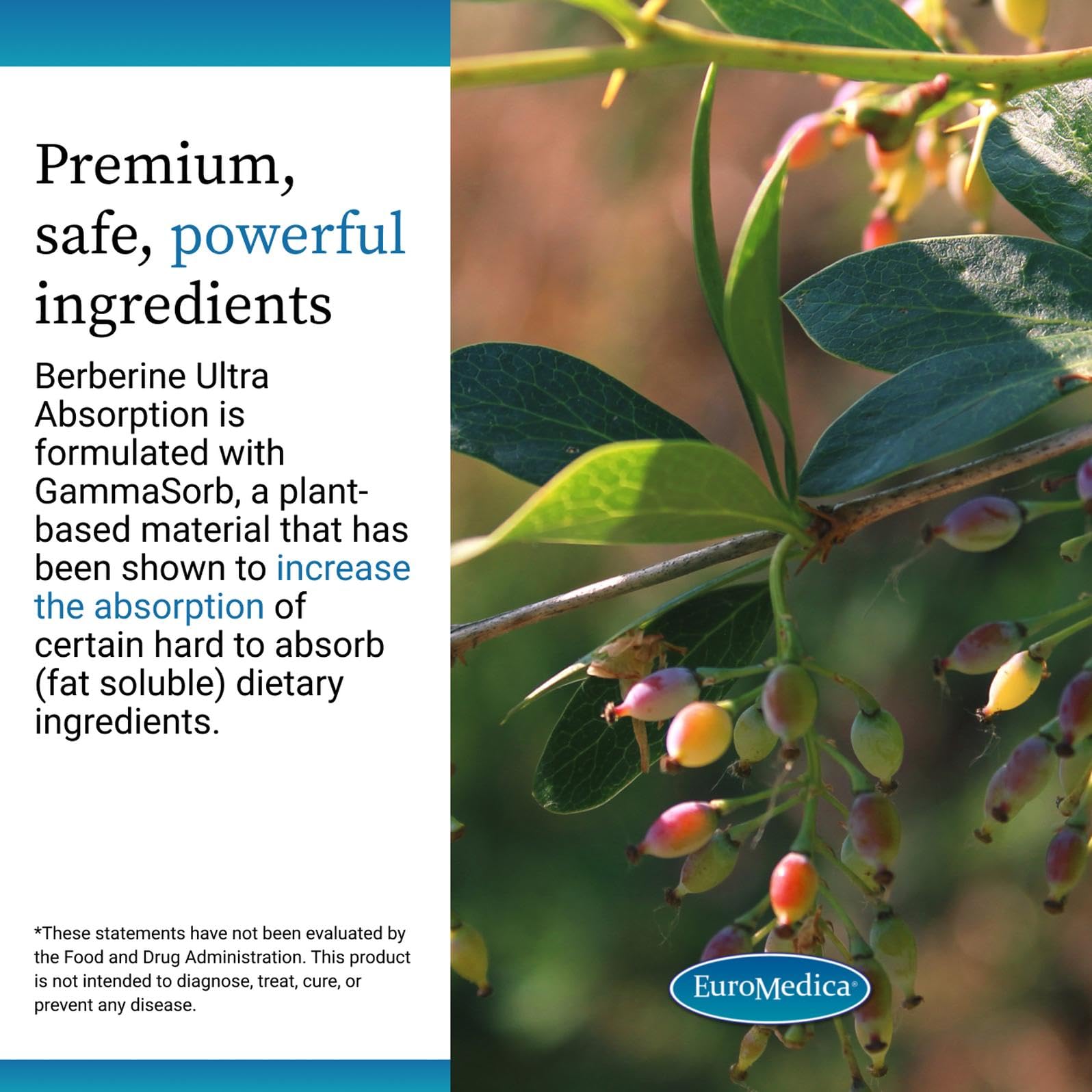 herbal berberine for digestive aid