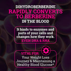 herbal berberine for digestive health