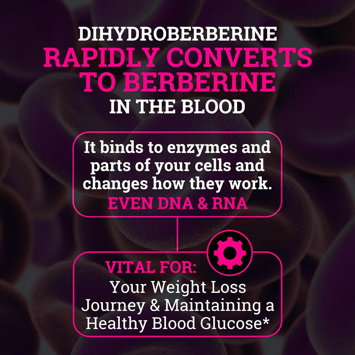 herbal berberine for digestive health