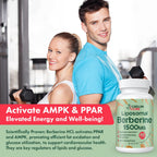 herbal berberine for digestive support