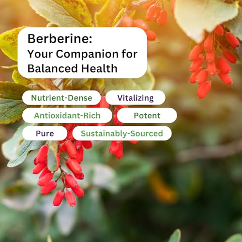 herbal berberine for immune support