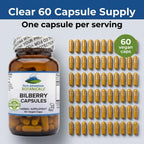 herbal bilberry extract for daily vitality