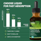 herbal blend for antioxidant benefits