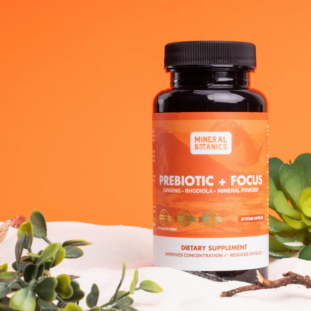 herbal blend for cognitive support