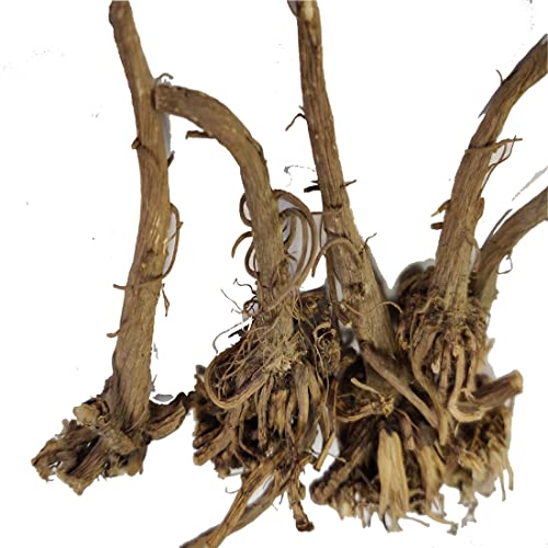 herbal blend for daily nutrition