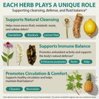 herbal blend for detoxification