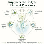 herbal blend for detoxification