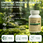 herbal blend for detoxifying lymphatic system