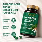 herbal blend for diabetes support
