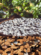 herbal blend for digestion support