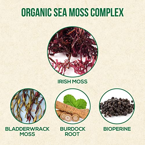 herbal blend for digestive health