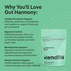 Herbal blend for digestive health