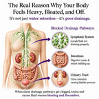 herbal blend for digestive health