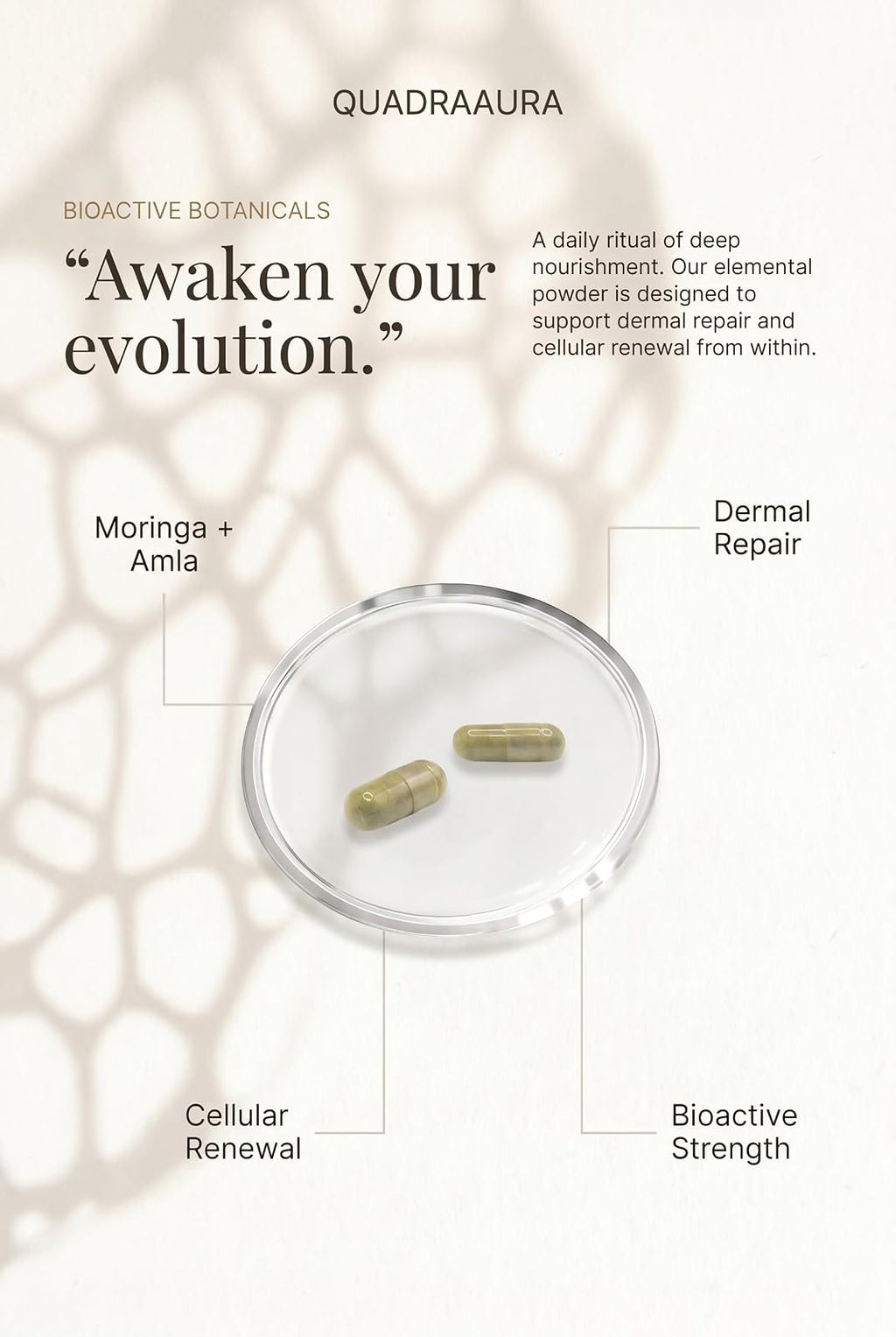Herbal blend for energy boost
