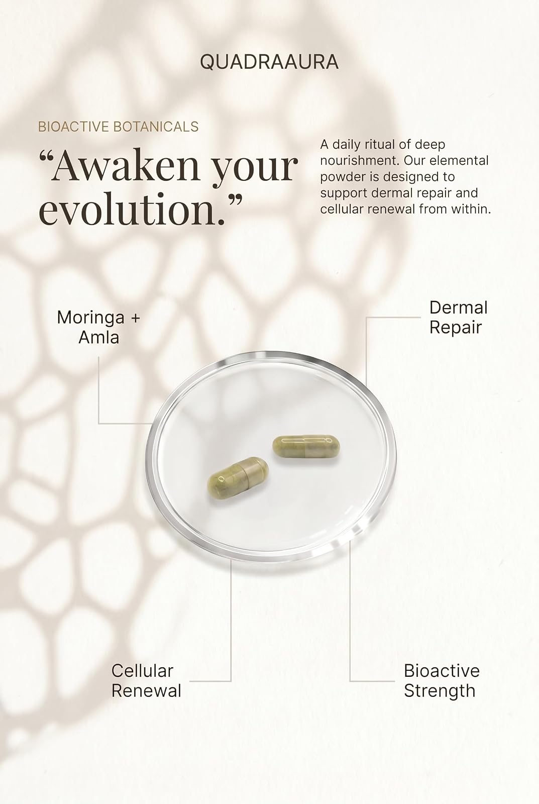 Herbal blend for energy boost