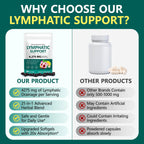 Herbal blend for holistic health