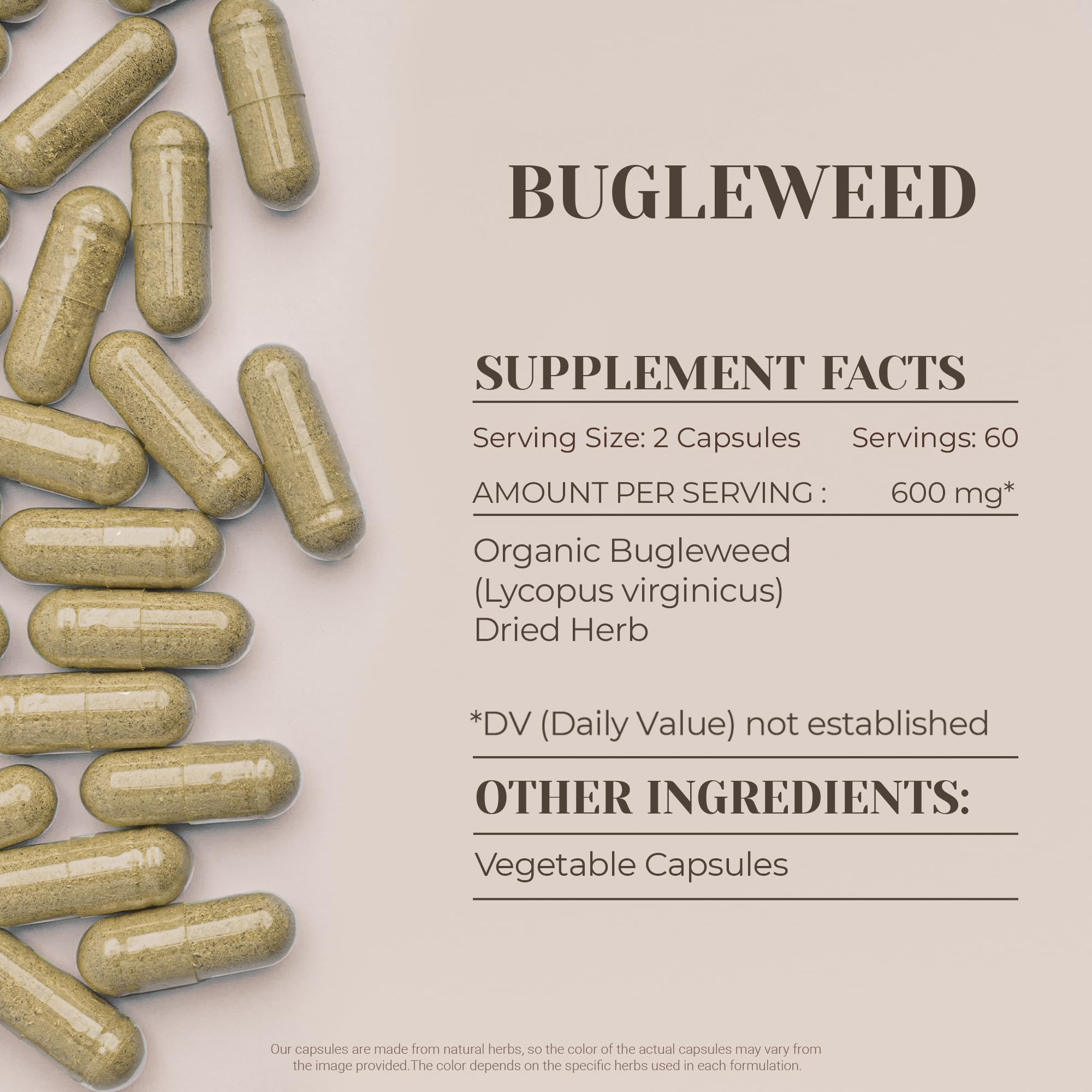 herbal blend for immune support