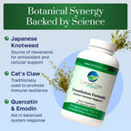 herbal blend for immune support