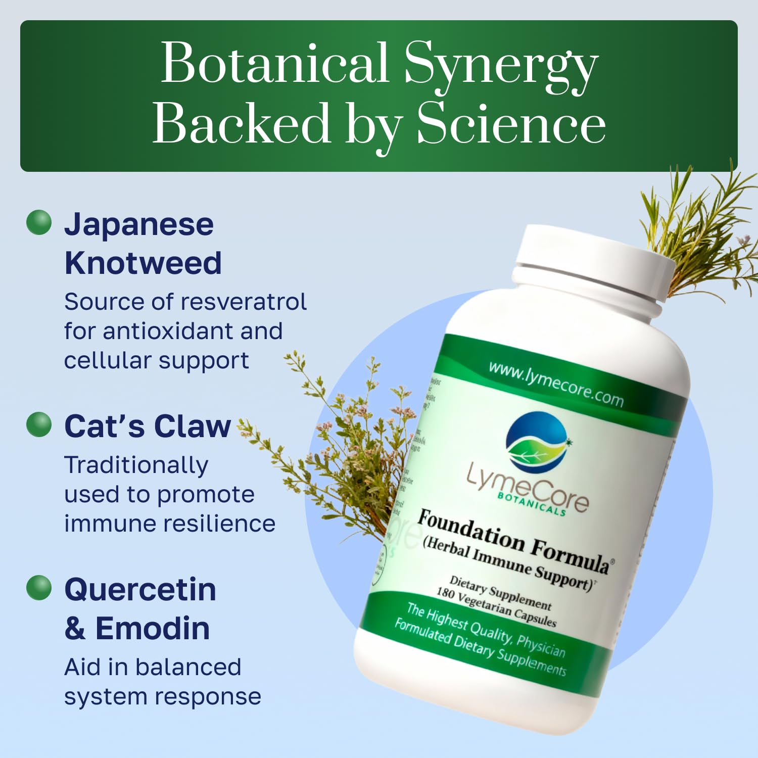 herbal blend for immune support
