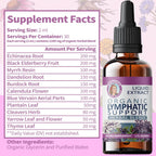 Herbal blend for immune system boost