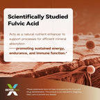 herbal blend for improved wellness