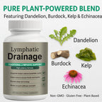 Herbal blend for lymphatic health