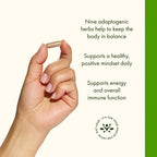 Herbal blend for mental clarity