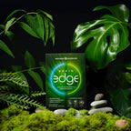 herbal blend for mental clarity