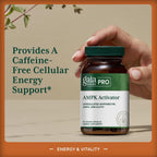 herbal blend for metabolic health