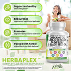 herbal blend for respiratory wellness