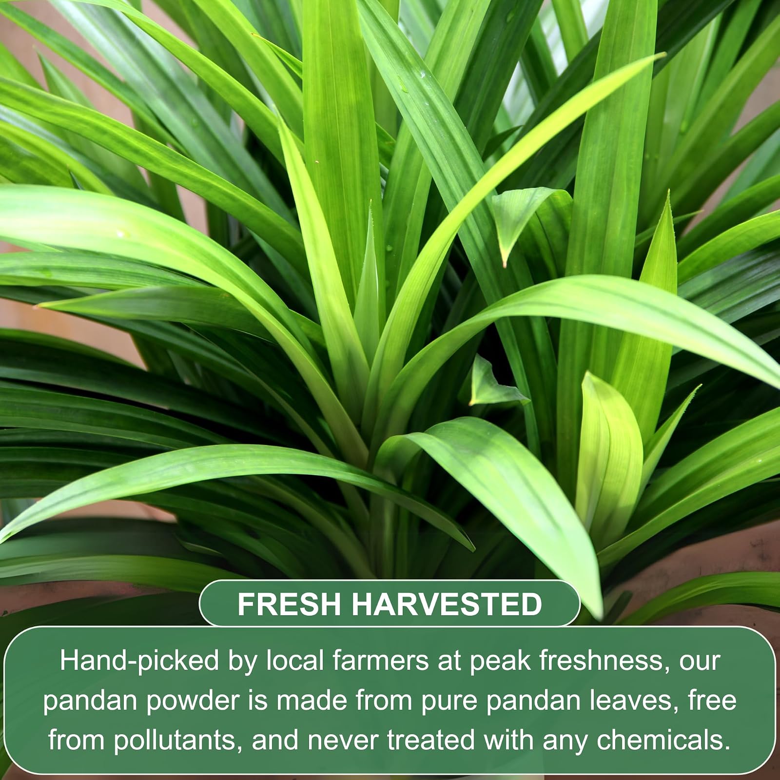 Herbal blend for traditional dishes