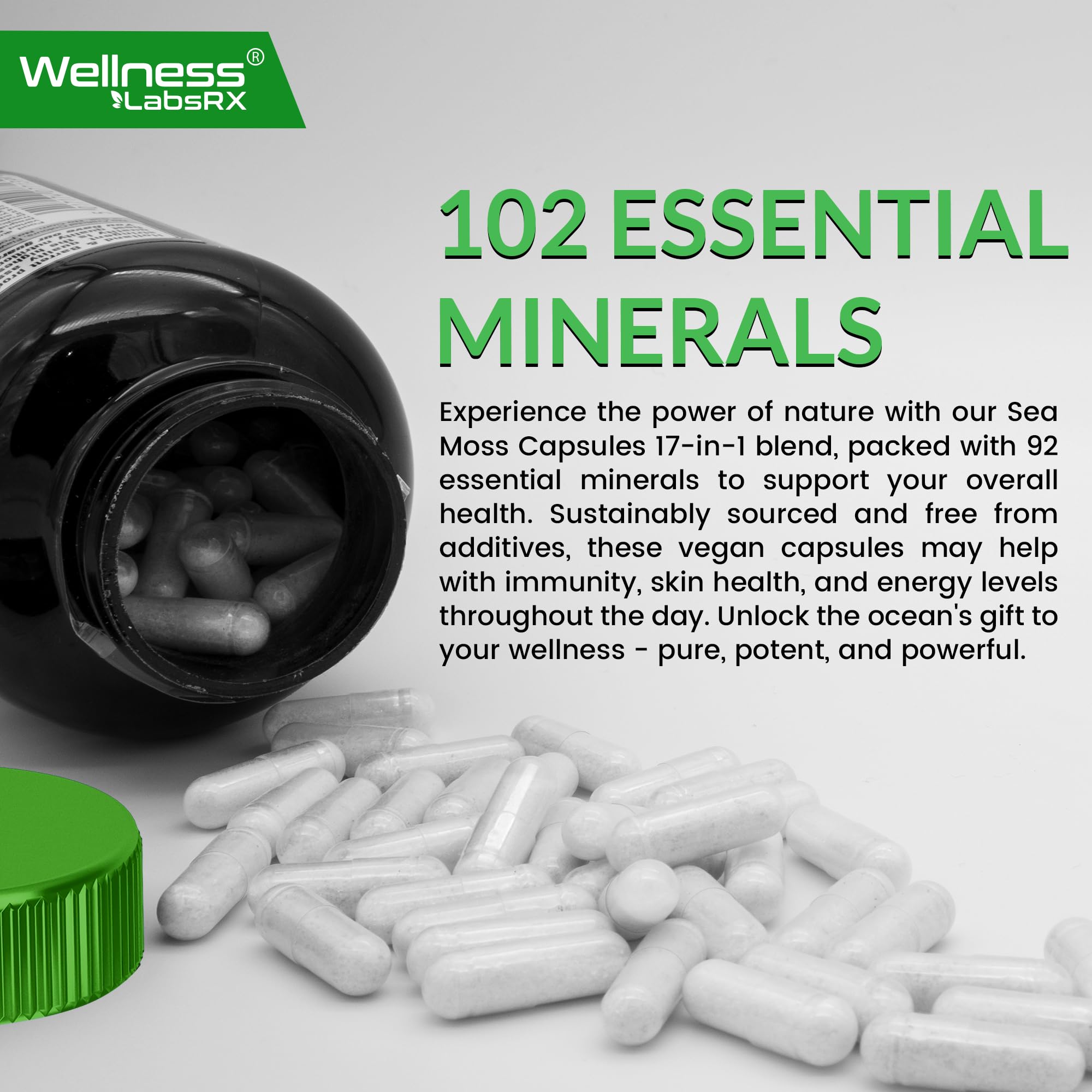 herbal blend for vitality and energy